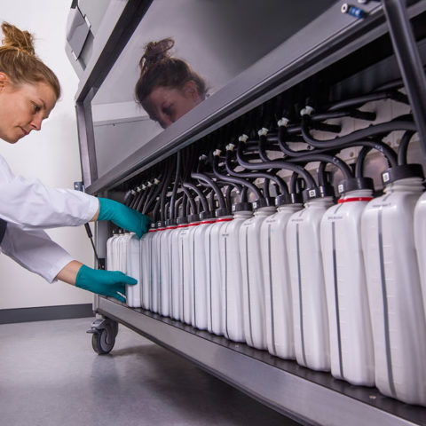 Coverstainer – ΚΑΛΛΙΦΡΟΝΑΣ Α.Ε.